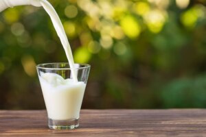 How to distinguish different types of fresh milk sold in Japanese ...