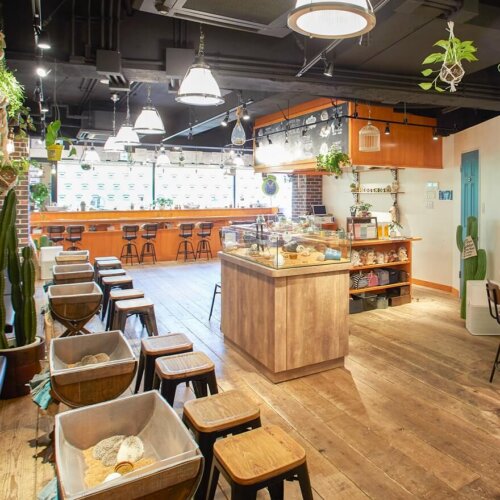 15 extremely cute animal cafes in Tokyo - Wa