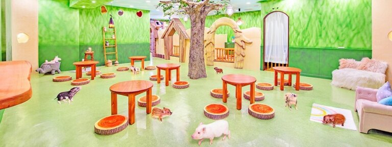 15 extremely cute animal cafes in Tokyo - Wa