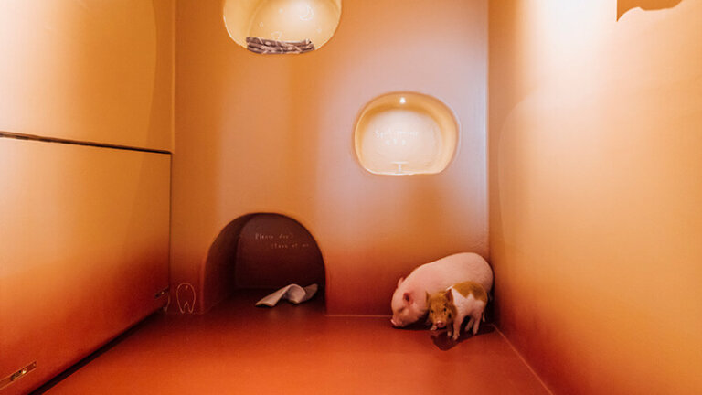 15 extremely cute animal cafes in Tokyo - Wa