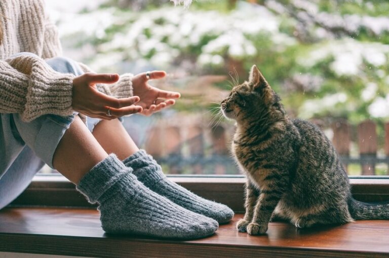 Japanese socks and 5 favorite brands of “Made in Japan” socks - Wa
